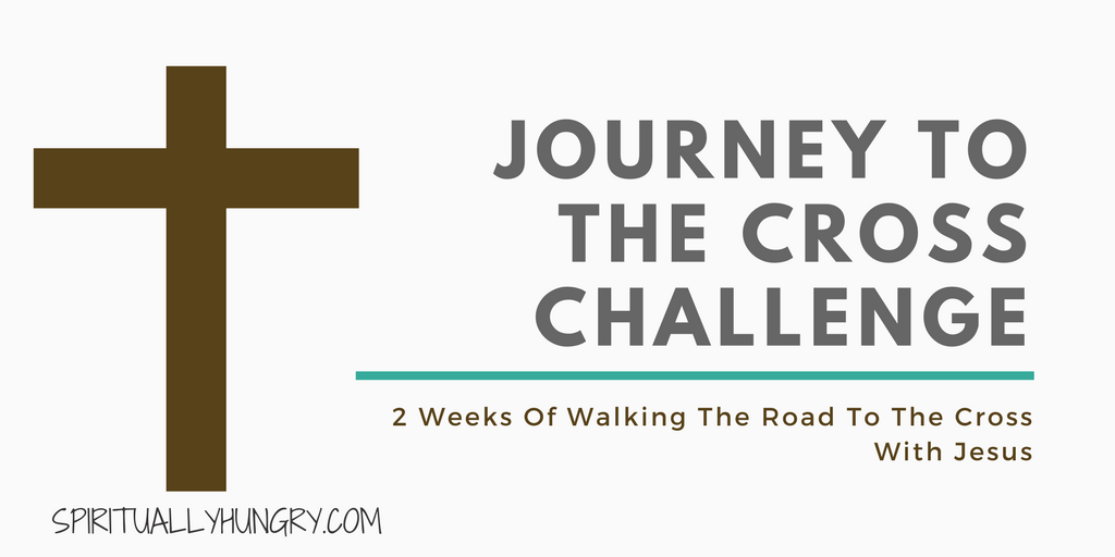 Two Week Journey With Jesus To The Cross Christian Challenge ...